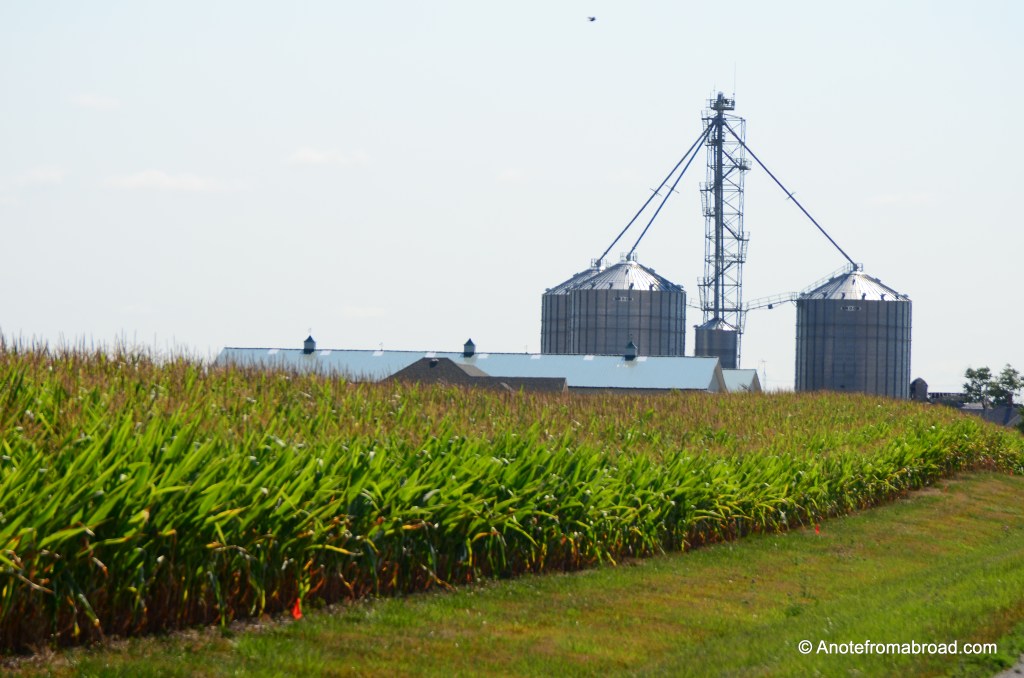 10 fun and unusual things to see, do, experience in rural Illinois | A ...