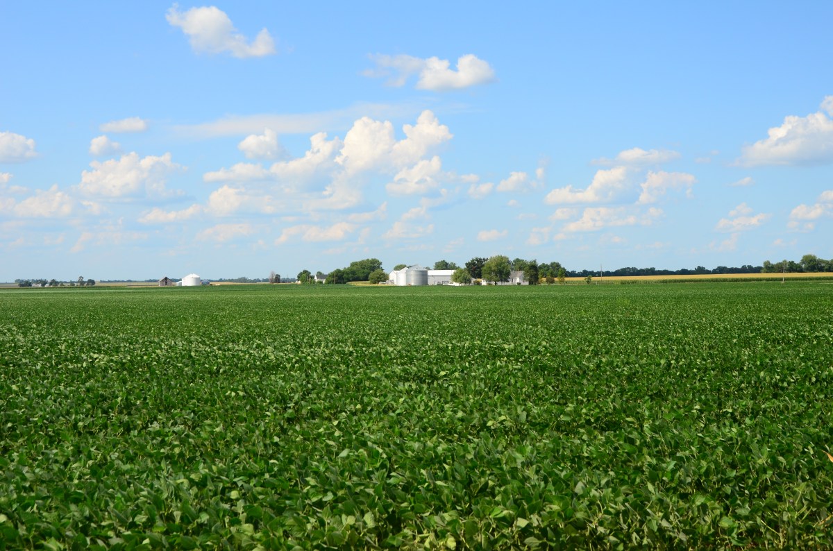 10 fun and unusual things to see, do, experience in rural Illinois | A ...