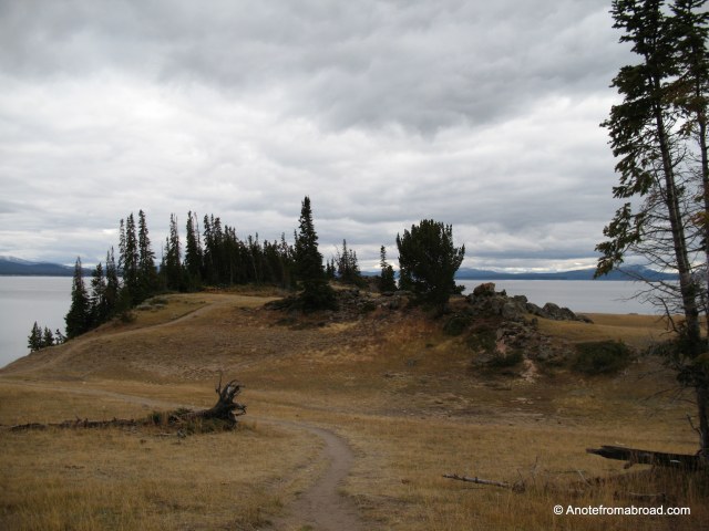 Yellowstone National Park (part 2) | A Note From Abroad