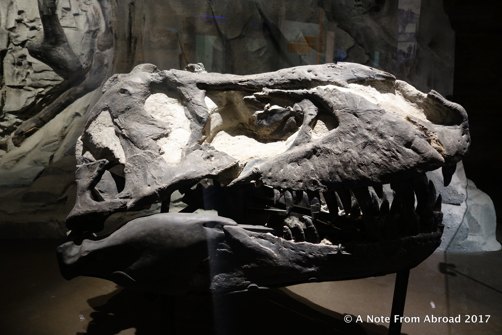 Alberta, Canada ~ Royal Tyrrell Museum of Palaeontology | A Note From ...