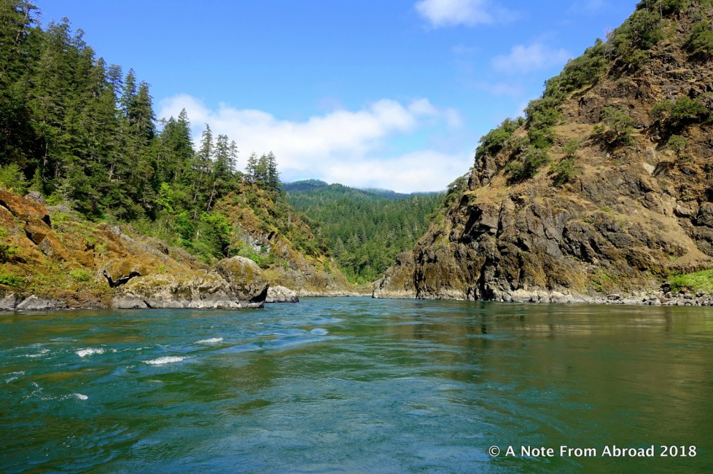 Jerry’s Rogue Jets ~ A Thrilling Boat Ride on the Wild Rogue River | A ...
