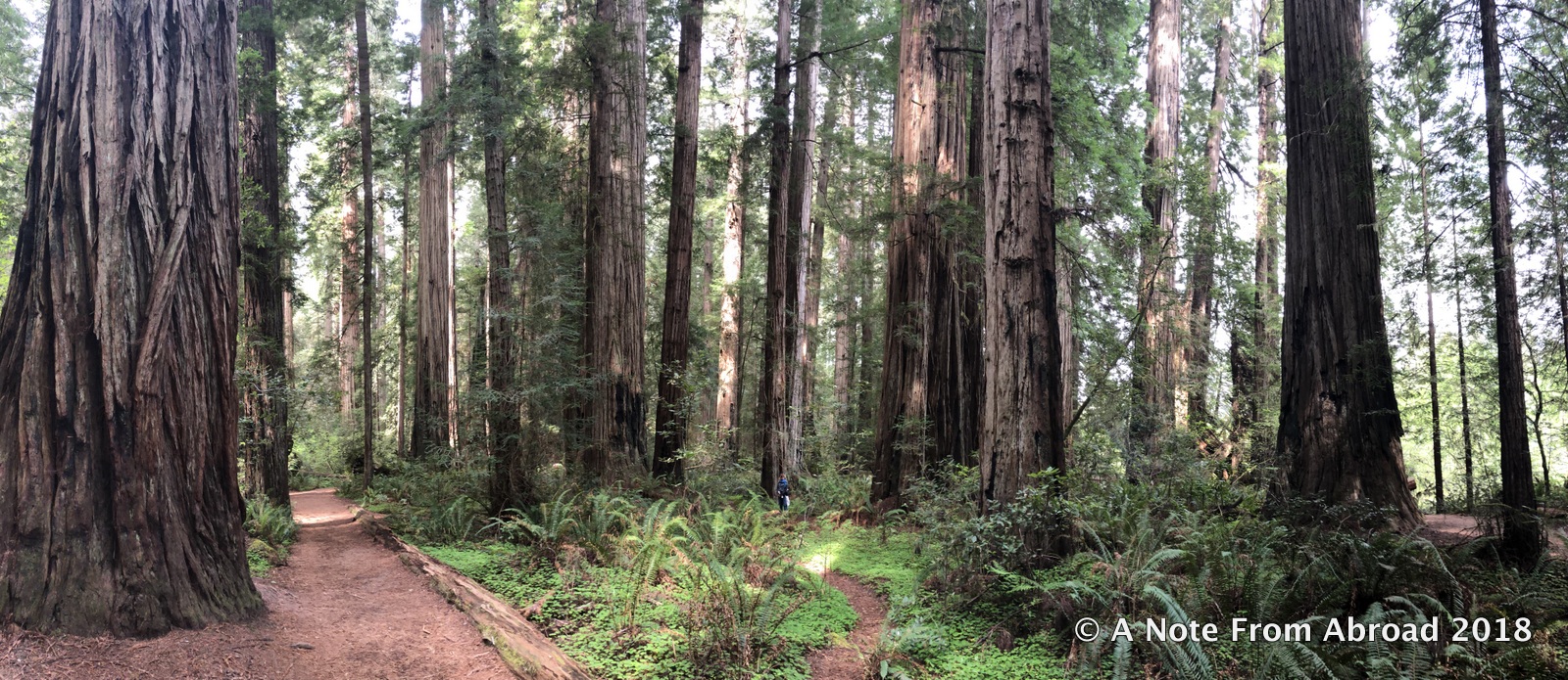 Southern Oregon ~ A Wrap Up and Review of our Two-Week Surprise Trip ...