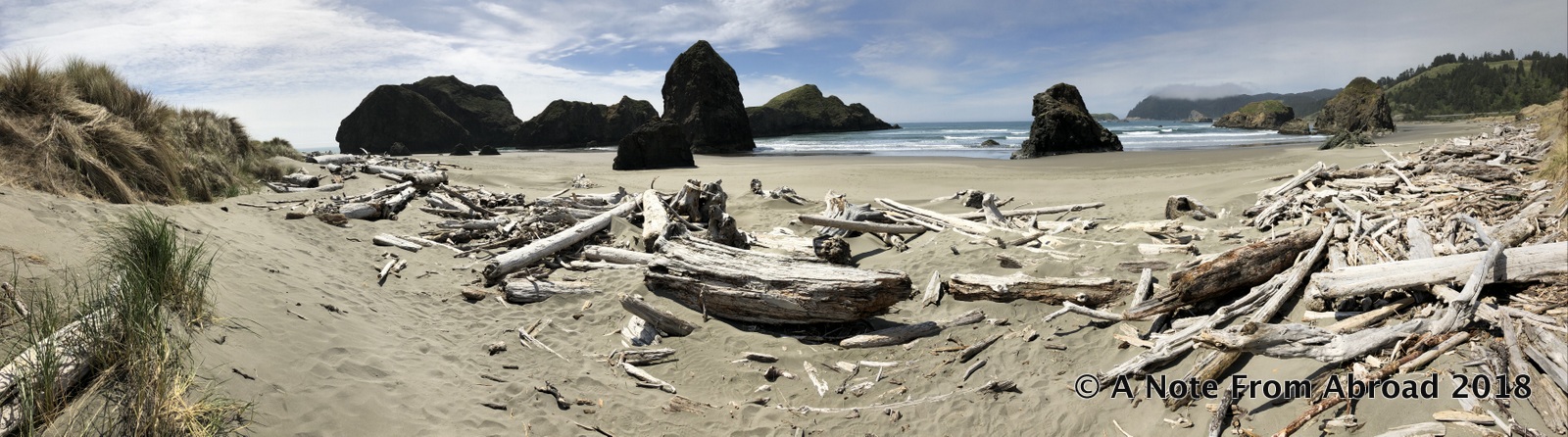 The Beaches of the Southern Oregon Coast ~ Heaven on Earth | A Note ...