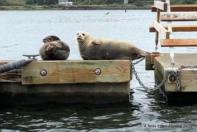 Jerry’s Rogue Jets ~ A Thrilling Boat Ride on the Wild Rogue River | A ...