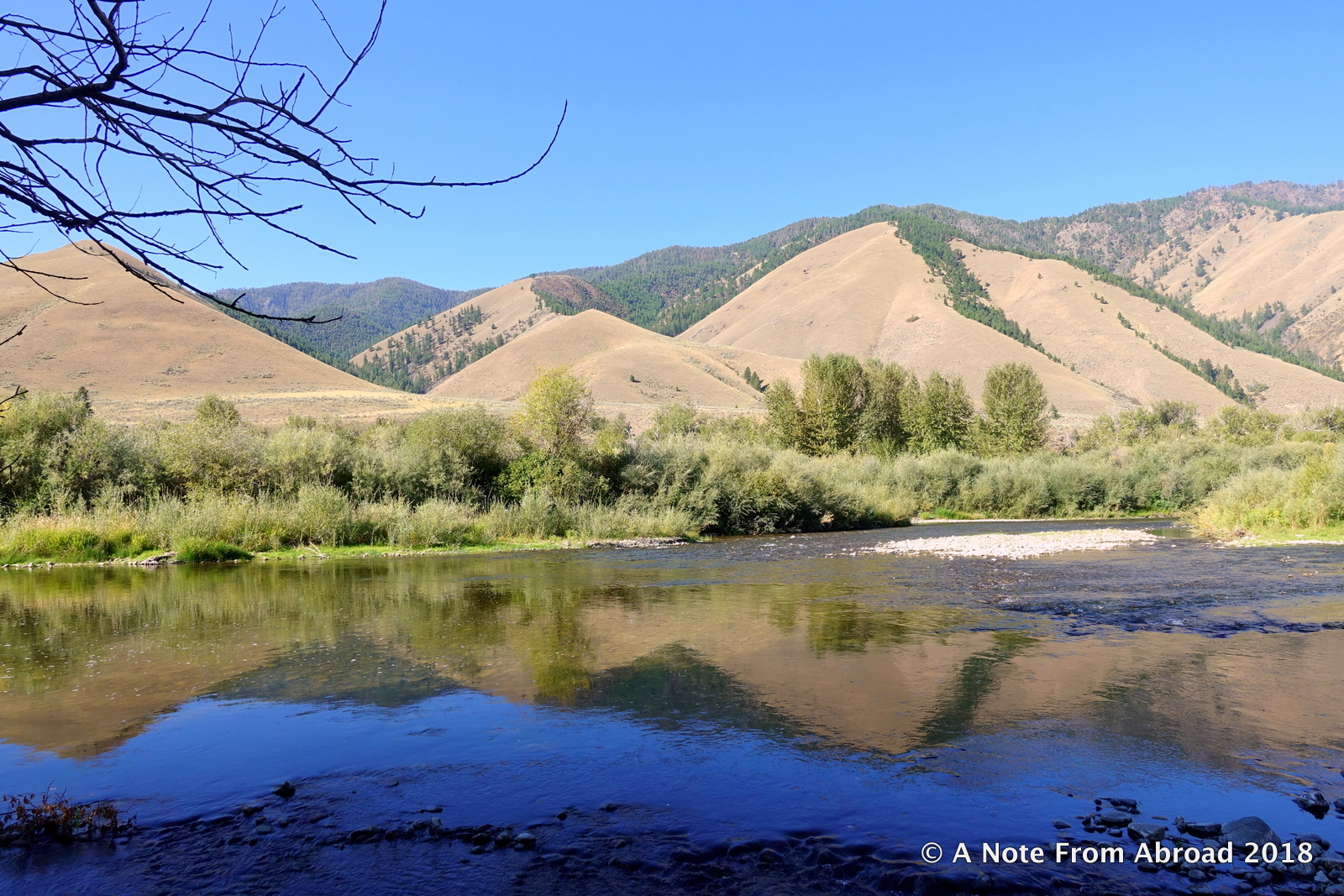 Salmon River Scenic Byway to Stanley, Idaho | A Note From Abroad